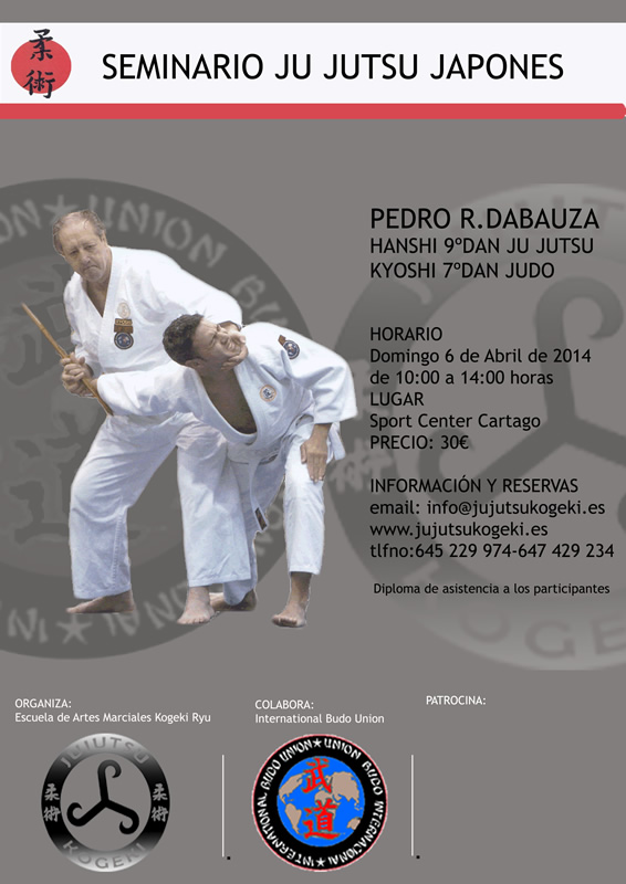 Ju Jitsu Cartagena