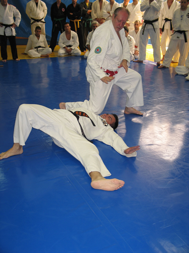 Ju Jitsu Castellón